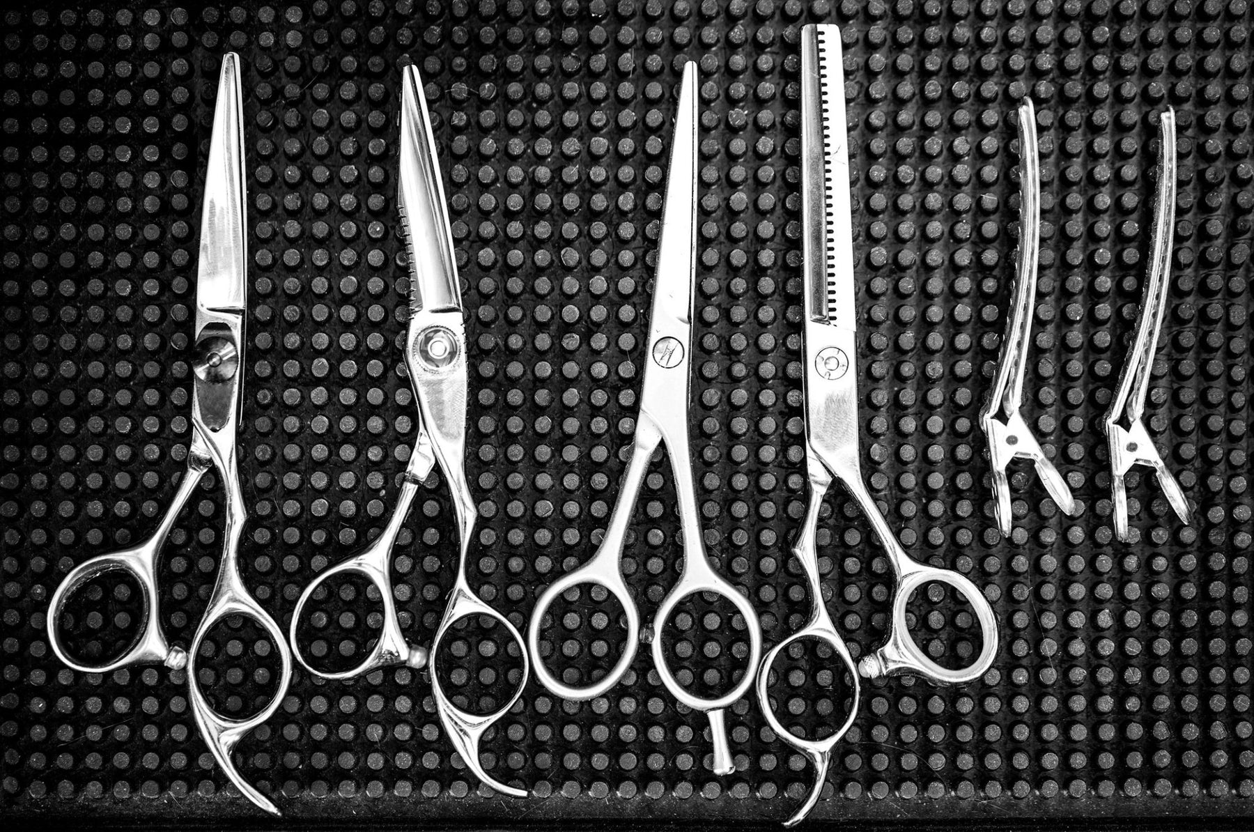 Hair Scissor Blade Types | Bevel, Serrated, Convex Blade Types ...